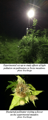 The Ecological Impacts of Light at Night » cet.org